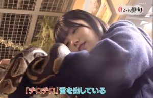 NHK俳句 題「寒造」 - Nogi-pedia